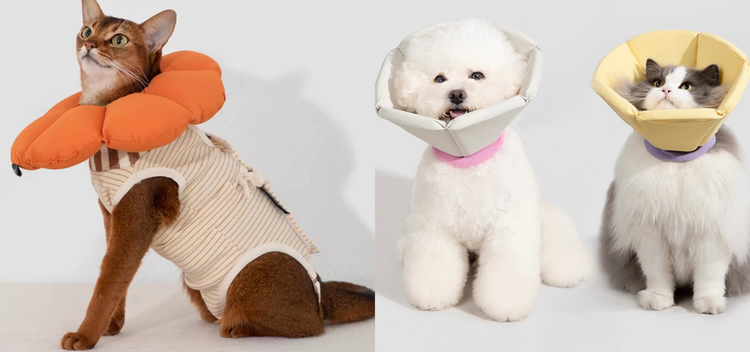Pop Pop Pets